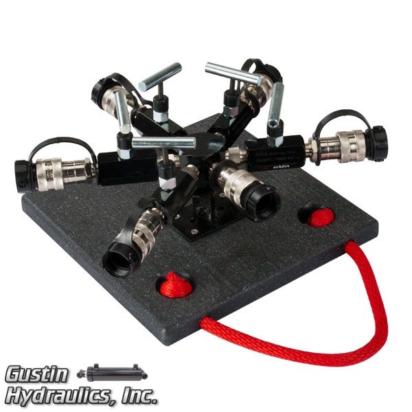 MANIFOLD HEXAGON 5 NEEDLE VALVES WITH BASE PLATE | Gustin Hydraulics